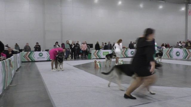 Сравнение класса чемпионов