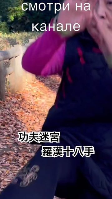 Лабиринты кунг-фу - Кунг-фу Мэйкю - Восемьнадцать рук архата