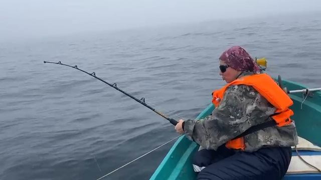 Рыбалка на акул