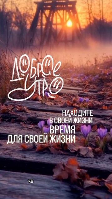 #доброеутро #пожелания #shortvideo #shorts #katyboro #видеооткрытка #видео #2025 #топ #рек #врек