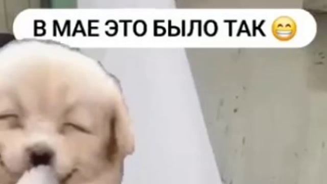 💕 Наталья Безверхова выходит замуж и улетает в Америку| Новости Дом 2