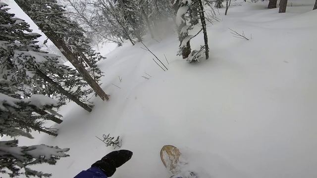 **** Шерегеш Ноябрь 25. 9-2-1-Доллар первым следом