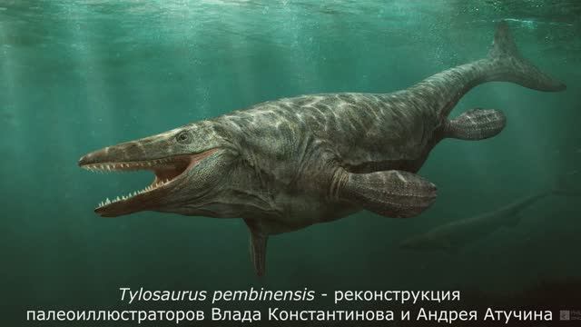 Полярные мозазавры – палеонтолог Дмитрий Григорьев