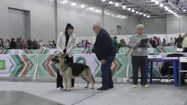 Фиелисс Ортон