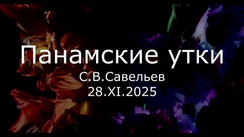 С.В. Савельев - Панамские утки