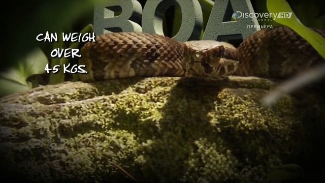 Голые и напуганные 3 сезон 9 серия (реалити-шоу, 2014)