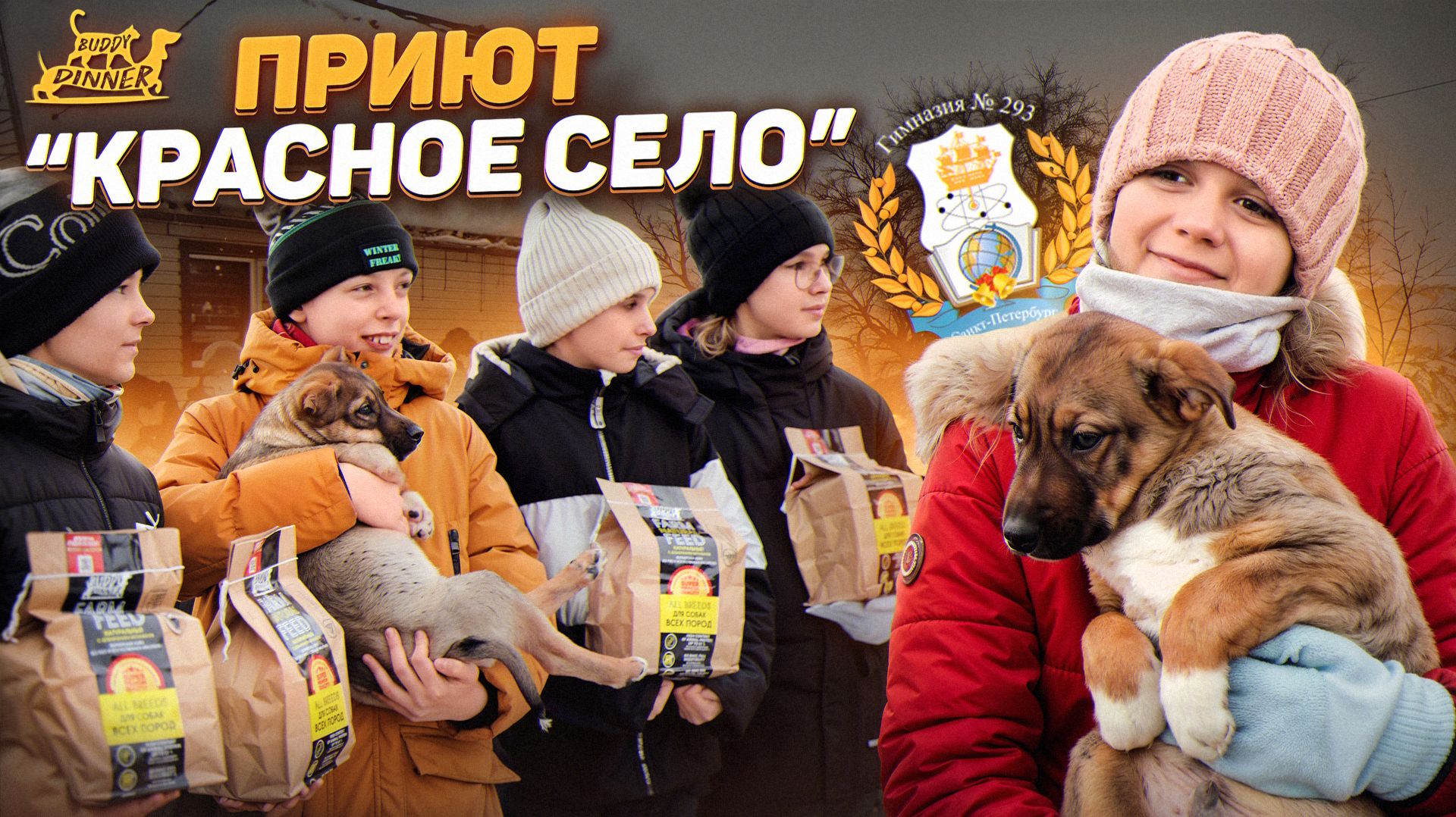 Детская миссия добра! Школьники 5А (Гимназия 293) с кормами Buddy Dinner спасают хвостиков!