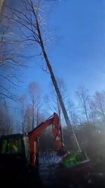 🟢 BI200 @OMEFGROUP Лесные валочные ножницы на мини-экскаваторах 3-8тн, на мини-погрузчиках 2,5-6тн