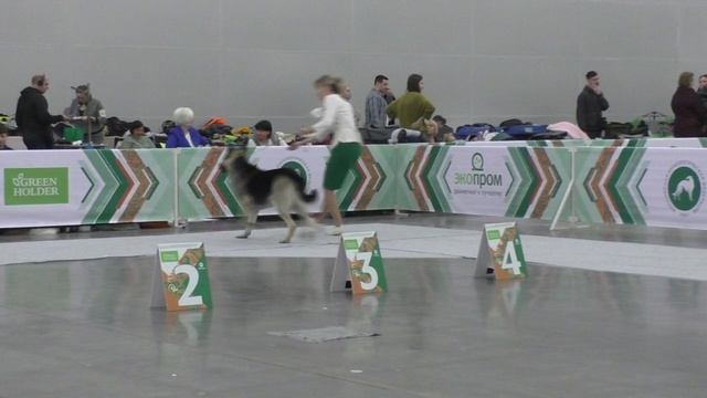 Демираль Ураган 2