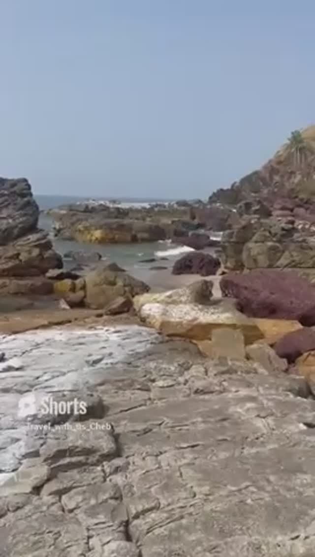 путешествия индия отпуск море природа крабы пальма пляж камни гоа арамболь