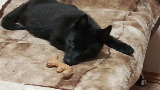 Поднять подняли, разбудить забыли