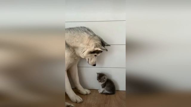 "Бог ли не защитит избранных Своих, вопиющих к Нему день и ночь, хотя и медлит защищать их?