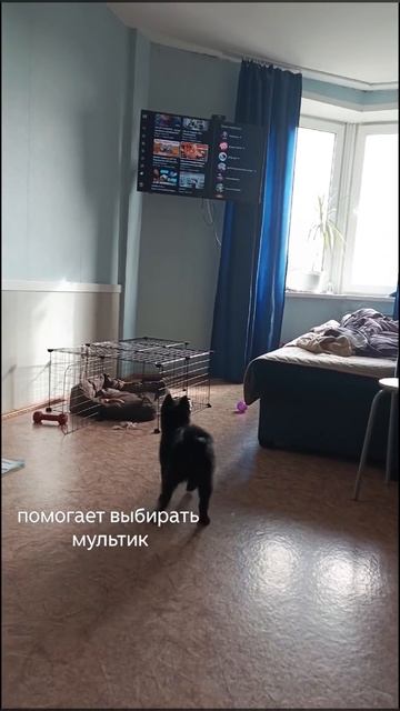 Тот ещё критик