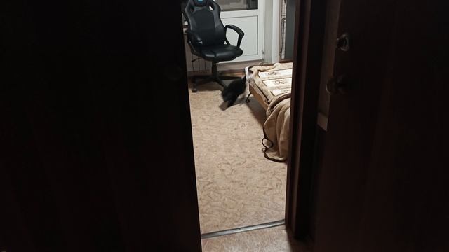 Вечерний забег