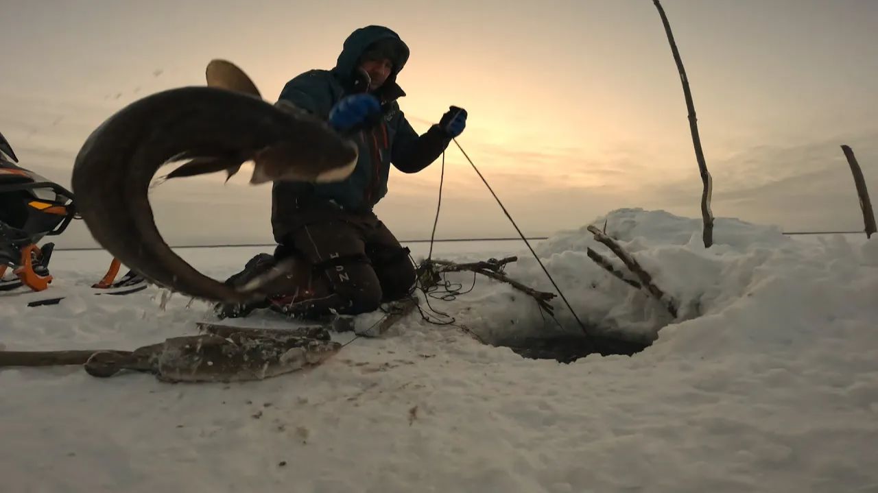 МОРОЗНАЯ ПРОВЕРКА НА ЗАКАТЕ | ПЕРЕМЕТ 23.11.2025