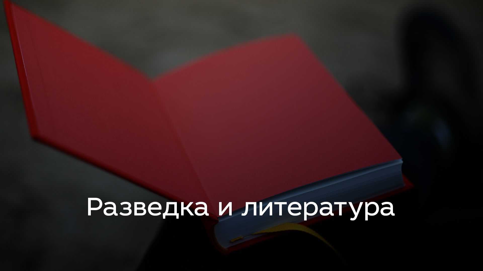 Разведка и литература