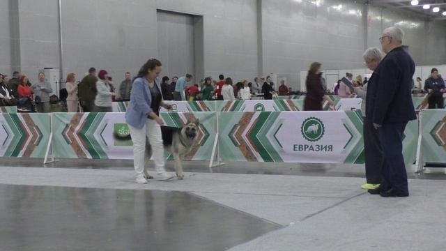 Джокер Шоу Долорес