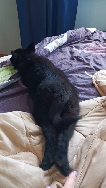 Щекотим пяточки