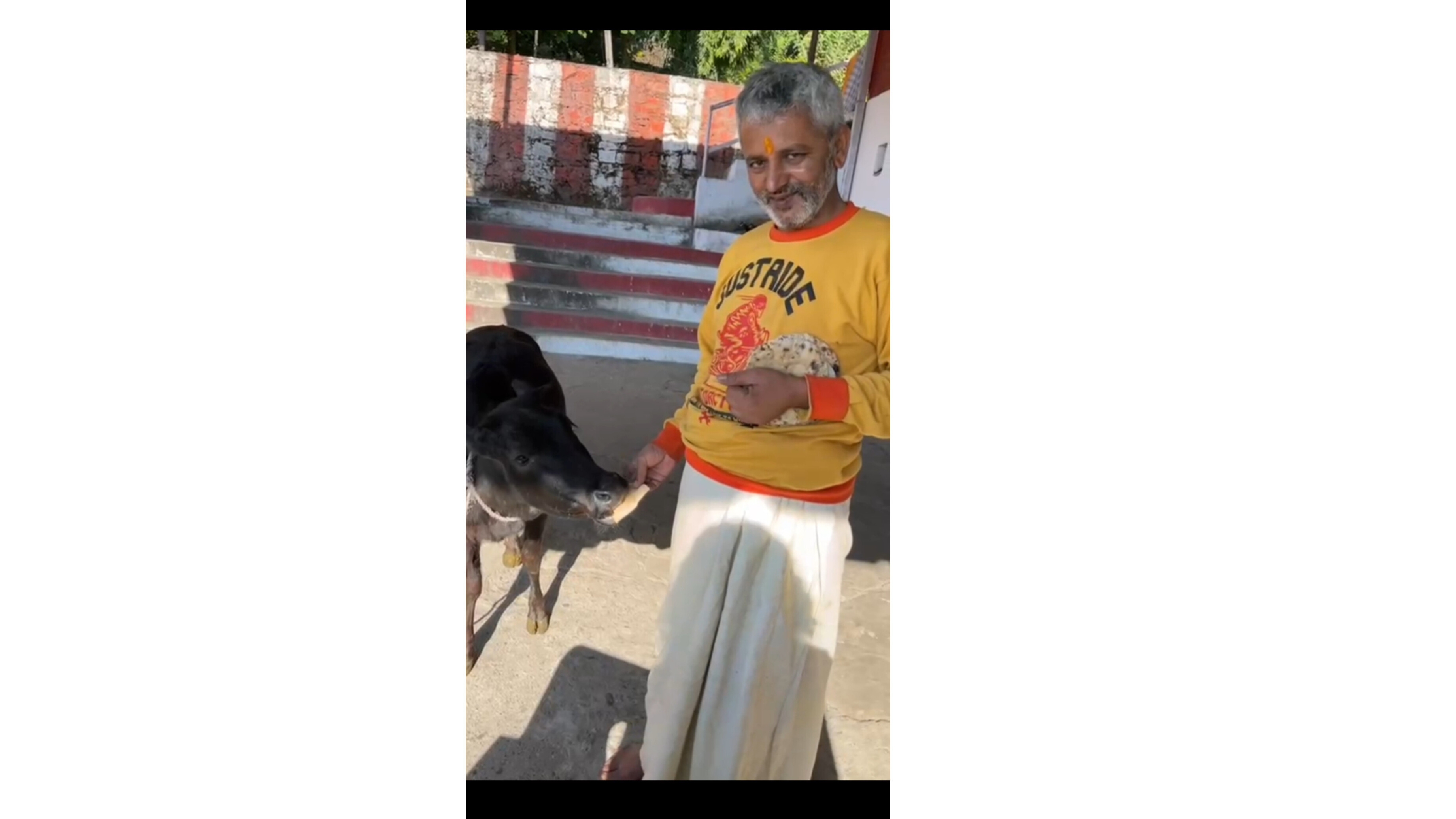 Кормить священную корову очень полезно для кармы😍🐄