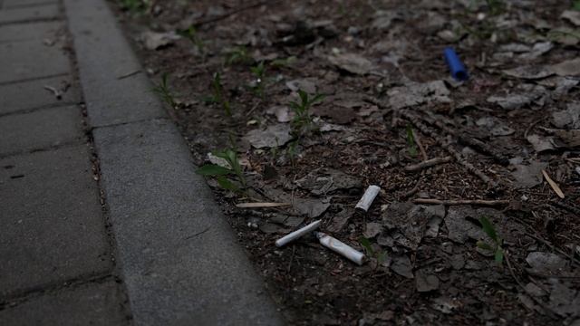 Парки города