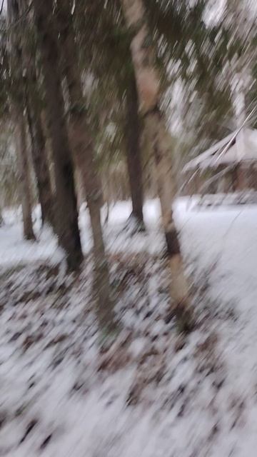 Pro Поход 7 ©20251119