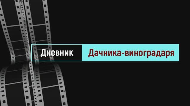 Виноград Петка