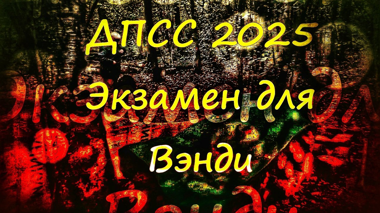 ДПСС 2025. Экзамен для Вэнди.