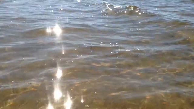 Финский залив 2015