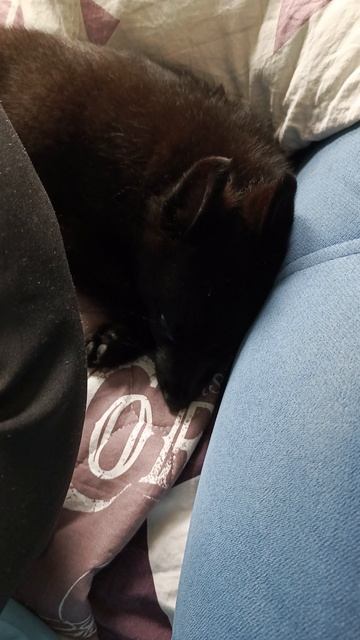 Под подушкой клад нашла