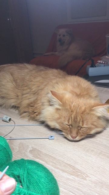 Наши вечера Альфушка ❤️ Ричик ❤️