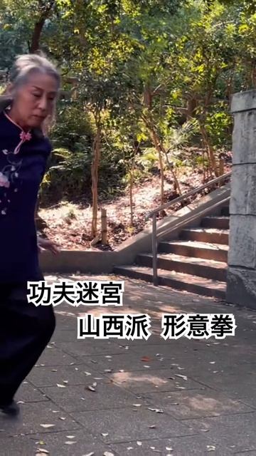 Лабиринты кунг-фу - Кунг-фу Мэйкю - Ляньхуань Синъи в стиле Шаньси