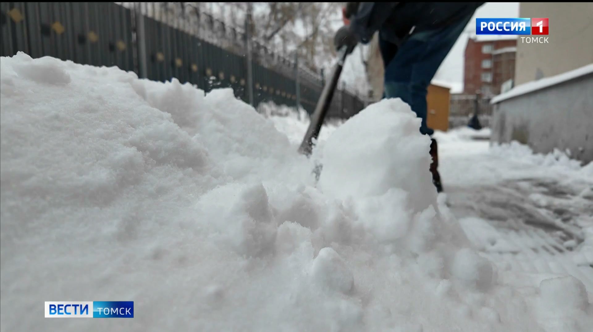 Вести-Томск, выпуск от 25.11.2025 11:30