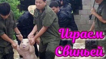 Играем за Свинью, хрюкаем от удовольствия