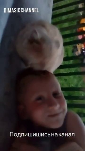 кот ухаживает за ребёнком