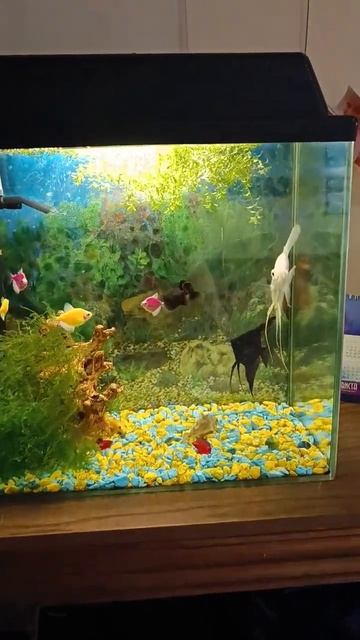 Свобода в новом году🎅 самая главная фишка Грамотного Инженера Всех с наступающим новым годом!!!