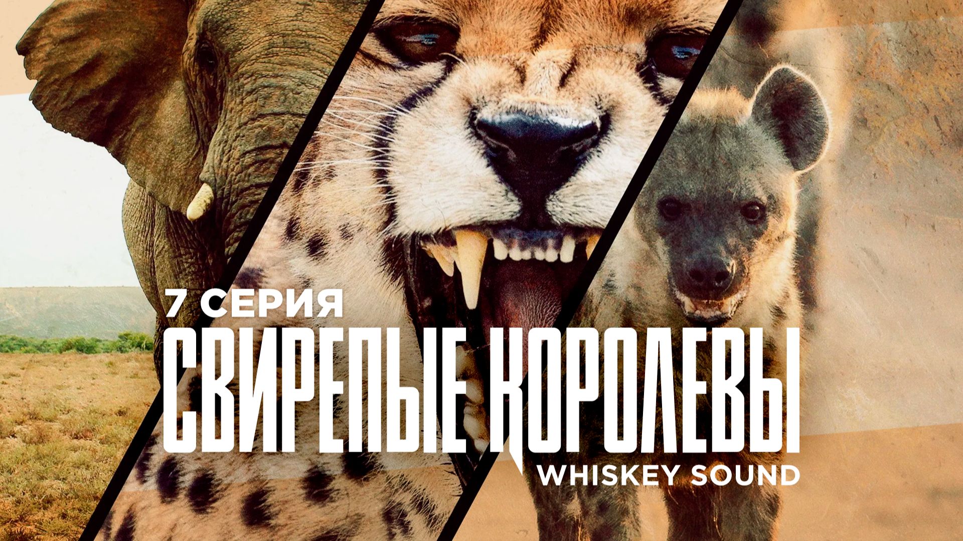 Свирепые королевы (7 серия) | Fierce Queens | Дубляж Whiskey Sound