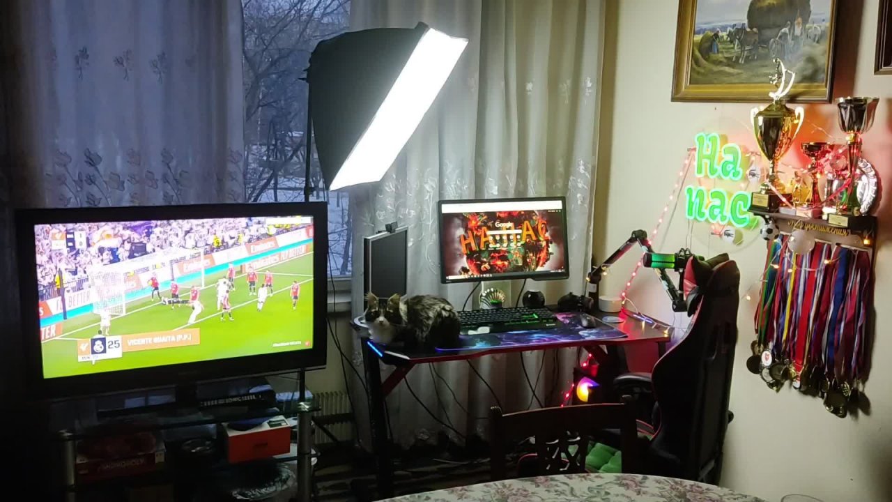 Вечерние посиделки | ActiveMatter