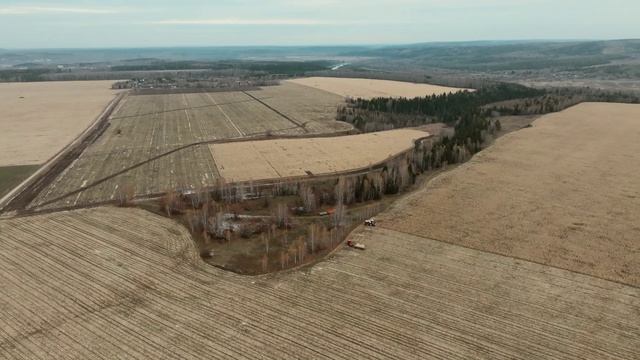 Жатка для заготовки корнажа ARGUS F