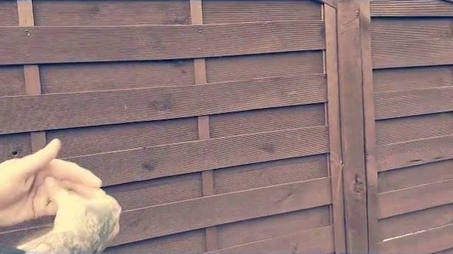 Исчезающее кольцо VanishRing от Jimmy Strange