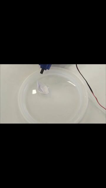 Слюсарь Е.М. Видео к проекту