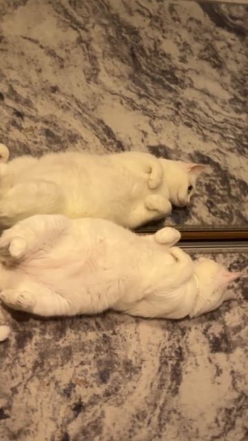 Милка ночью смотрится в зеркало