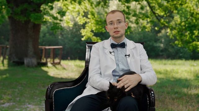 Анонс 6-го выпуска "От клетки к лесу. Война с невидимым врагом"