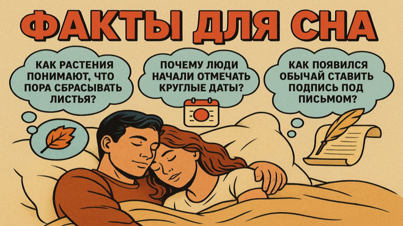 Факты для сна: ответы на вопросы, которые приходят перед сном №51