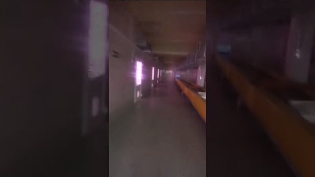 Гидропонный корм, технология выращивания травы для животных