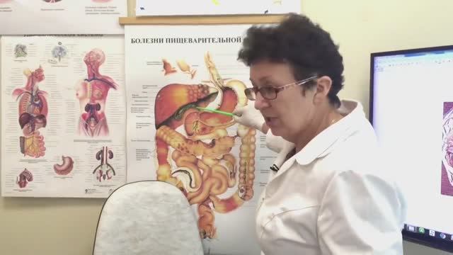 Так надо делать каждый день. Ольга Шишова