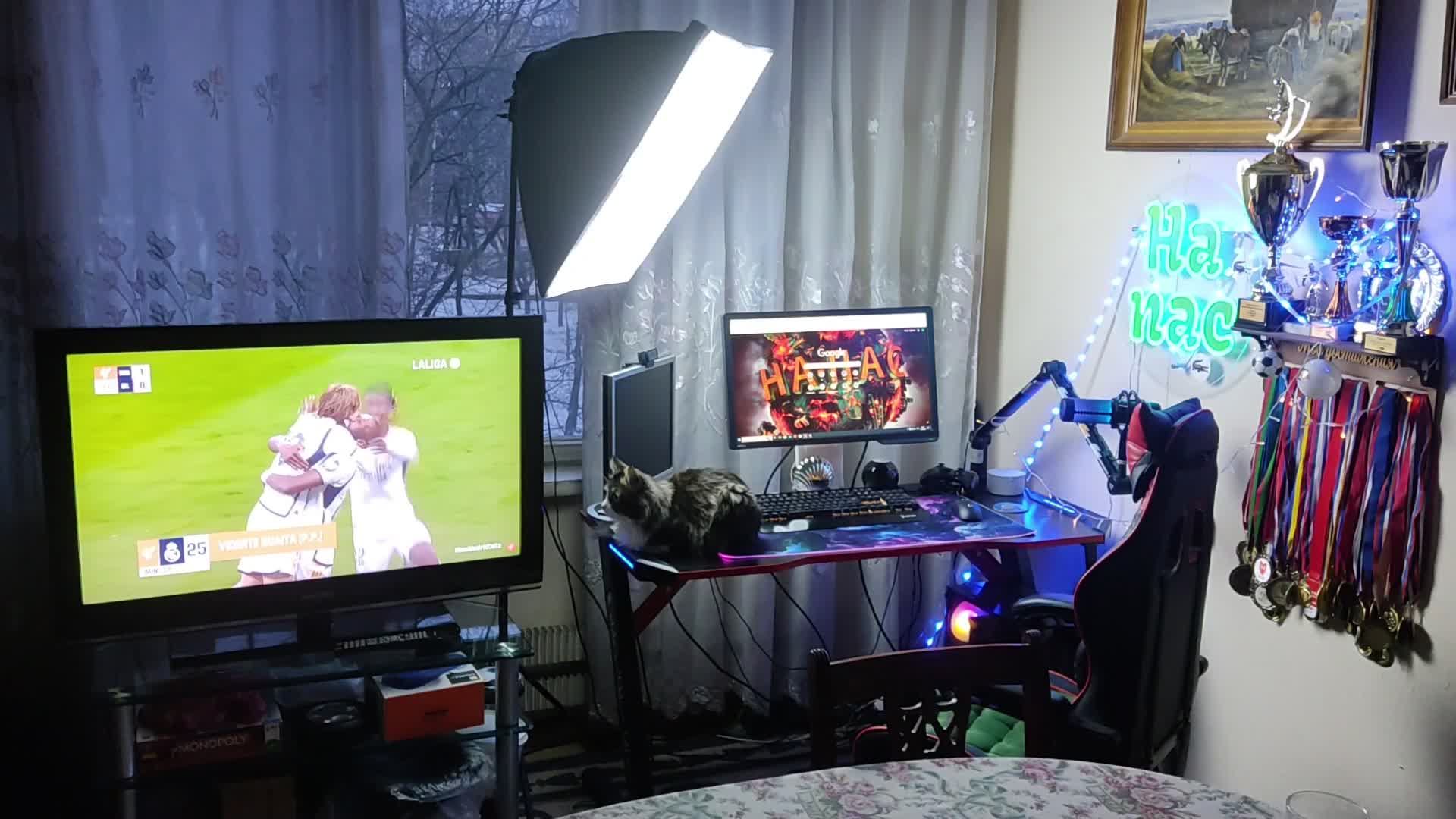 Вечерний стрим | Hunt: Showdown 1896