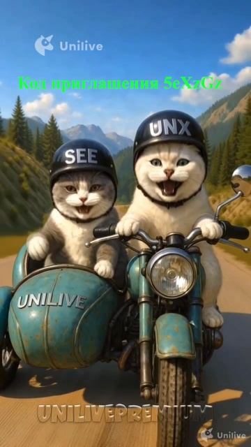 UniLive: Здесь есть ВСЁ