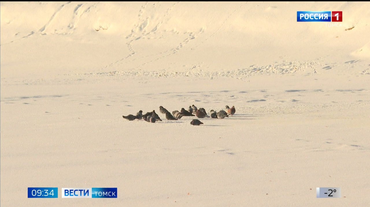 Вести-Томск, выпуск от 26.11.2025 09:30