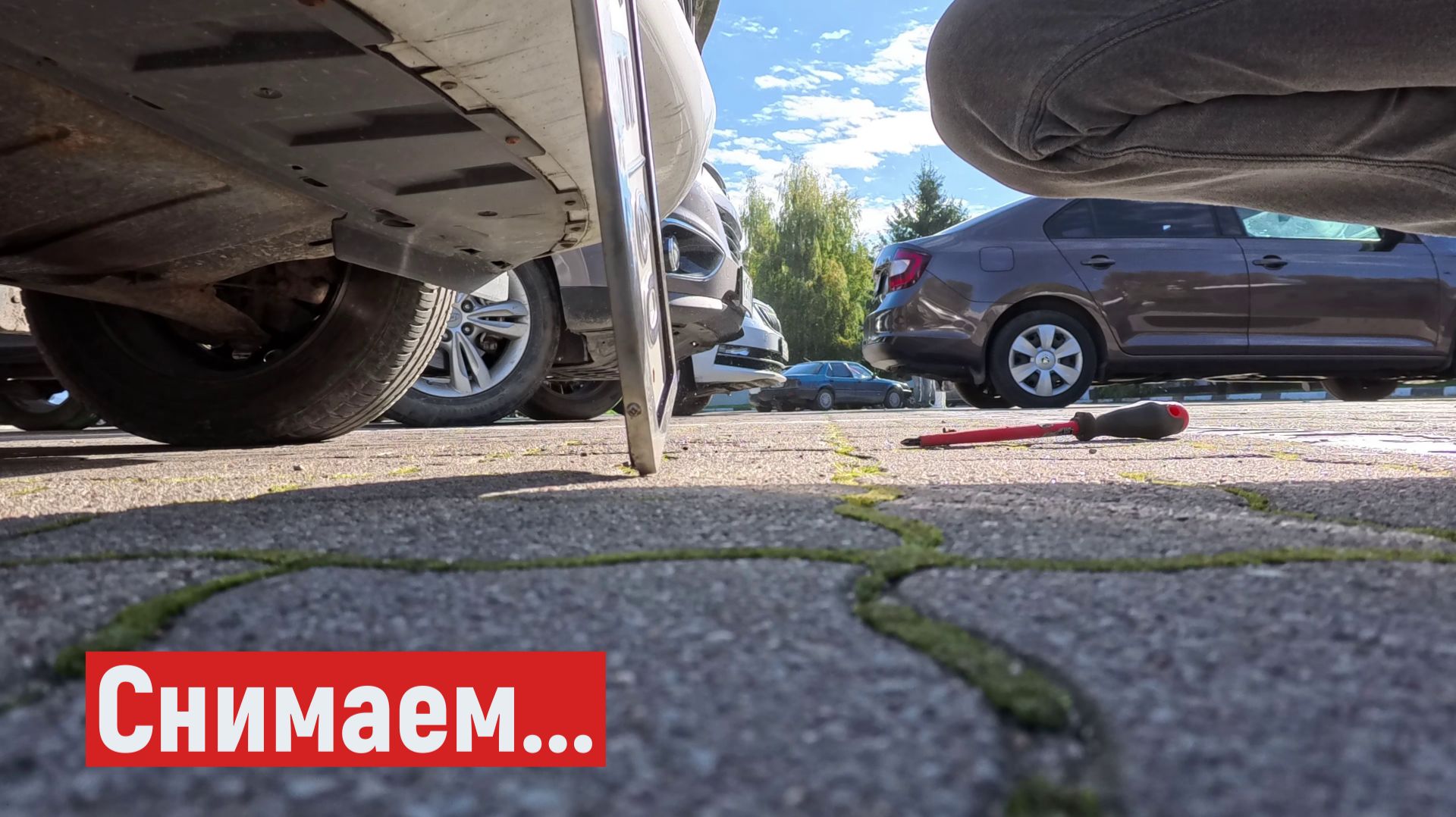 Вторая попытка поставить на учет Вегана