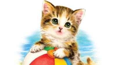 Любопытный котик Мусик Ст. Евгении Дубковой , минус ИИ , вокал Наталии Ищенко